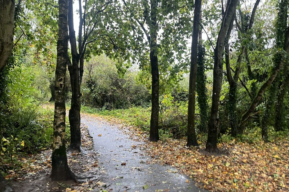 Dublin InQuirer (Page 1)