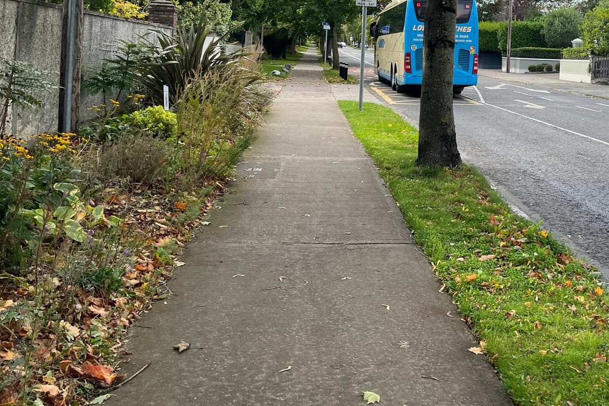 Councillors push for better maintenance of Fingal’s footpaths