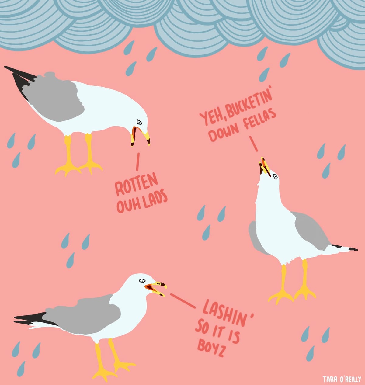 Cover image for Dublin Inquirer print edition #23 - Dublin Inquirer