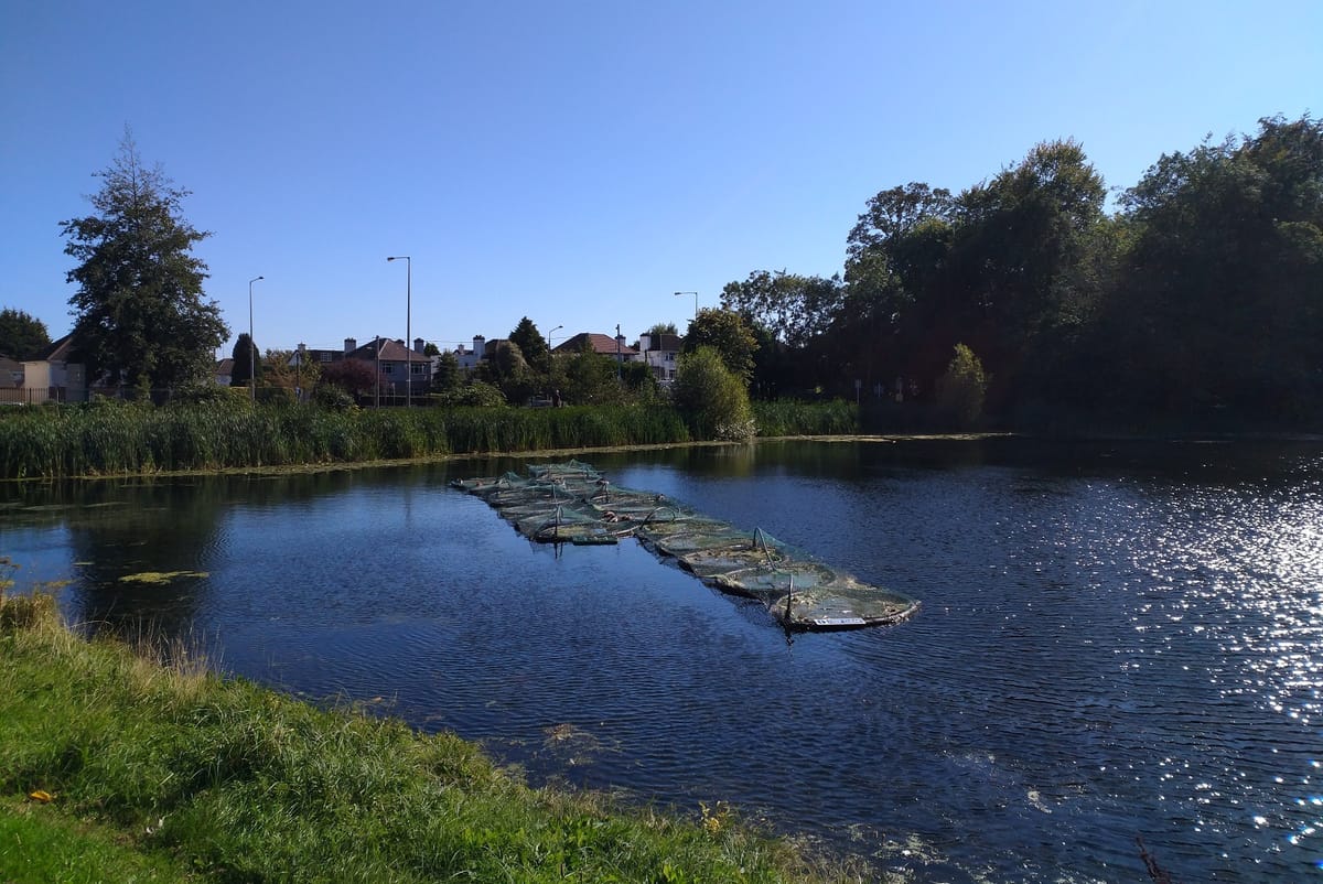 As Climate Changes, Engineers Work on Ways to Manage Santry River ...