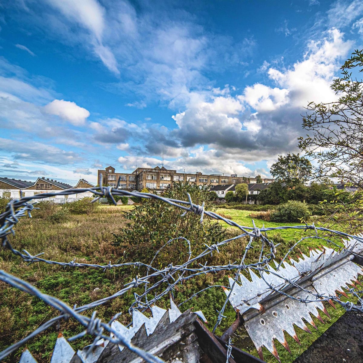 Cover image for Dublin Inquirer print edition #72 - Dublin Inquirer