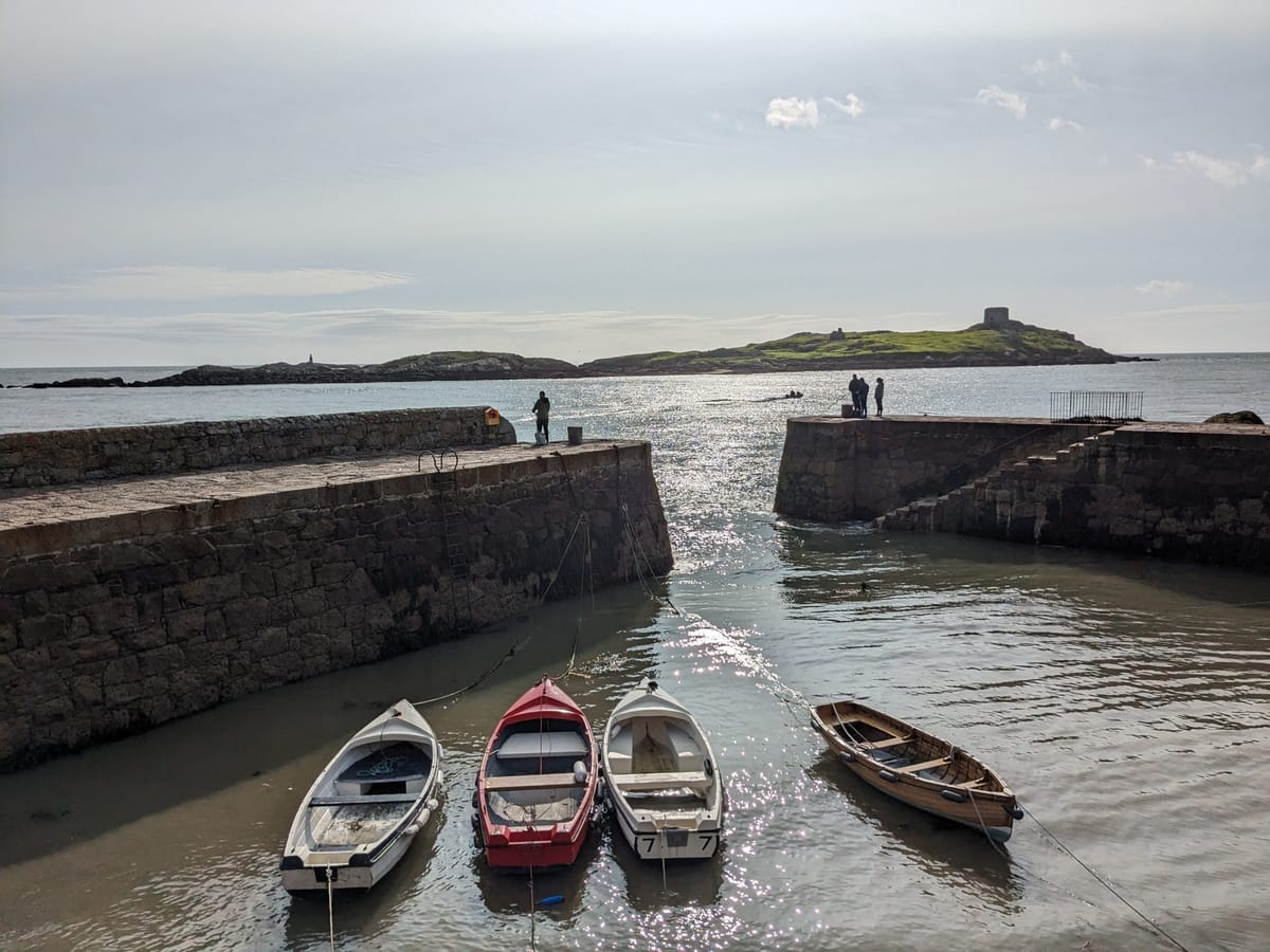 Photo of the Month: August 2023 - Dublin Inquirer