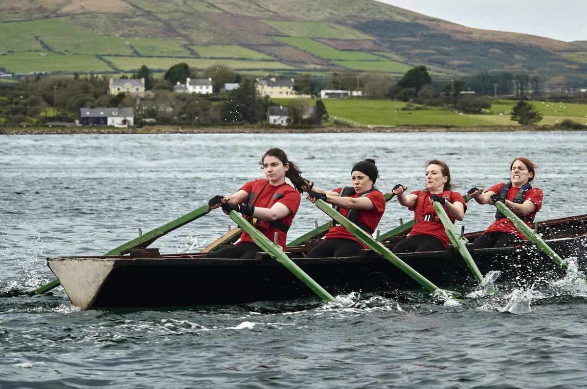 Tarrac, reviewed - Dublin Inquirer