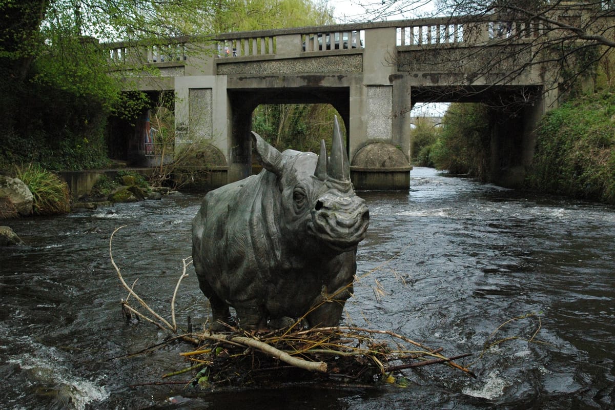 In Milltown, council considers removing beloved wading rhino from the ...