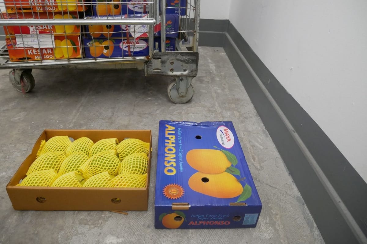 At Jervis, spreading the joy of mango season - Dublin Inquirer