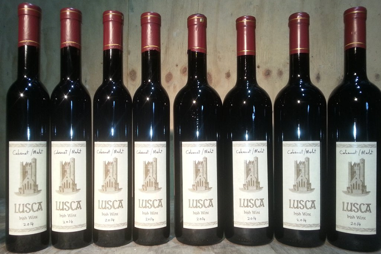 From Vine to Wine in County Dublin: Lusca - Dublin Inquirer